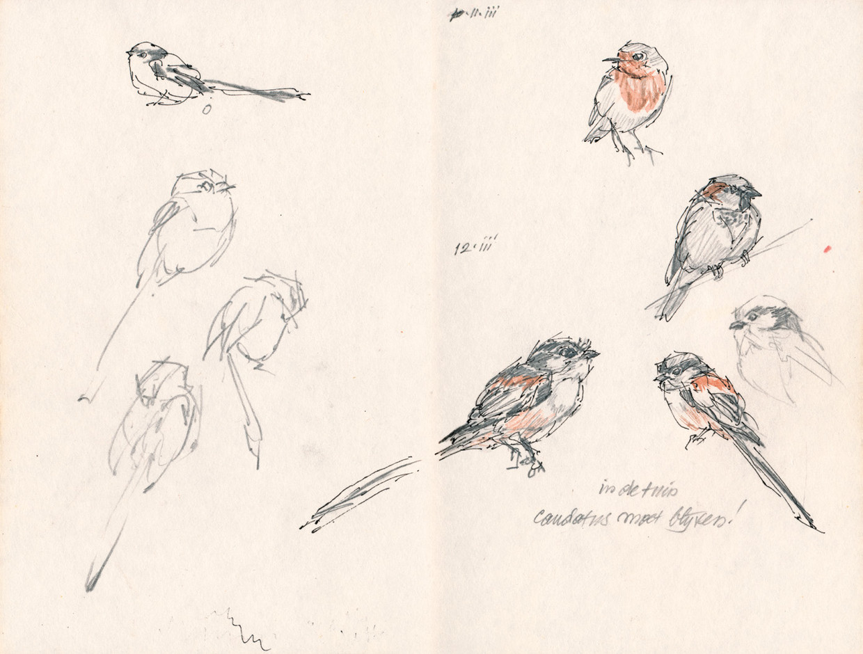 Een paar krabbeltjes, wat vlekjes aquarelverf, en toch helemaal mus ...