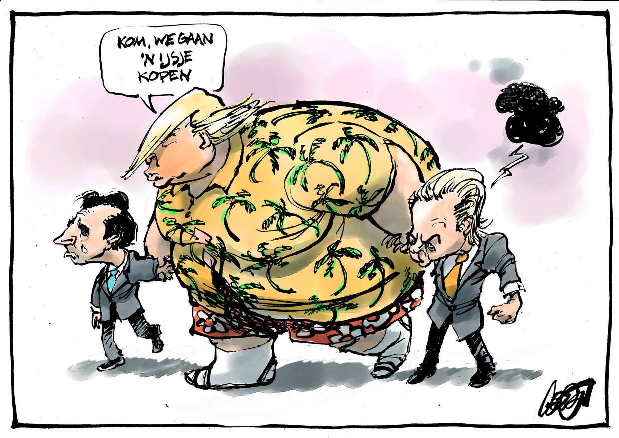 Collignon | De Volkskrant