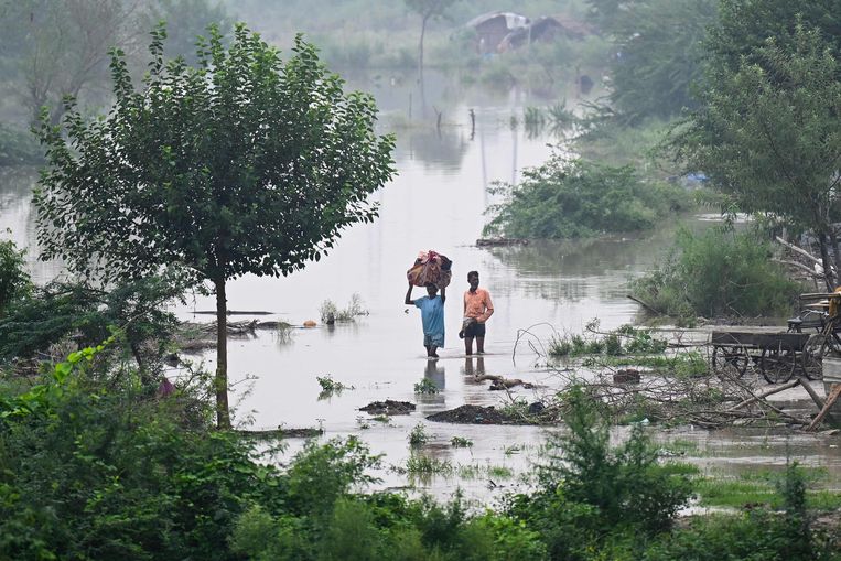 Tientallen doden door moessonregens in India, ook buurland Pakistan ...