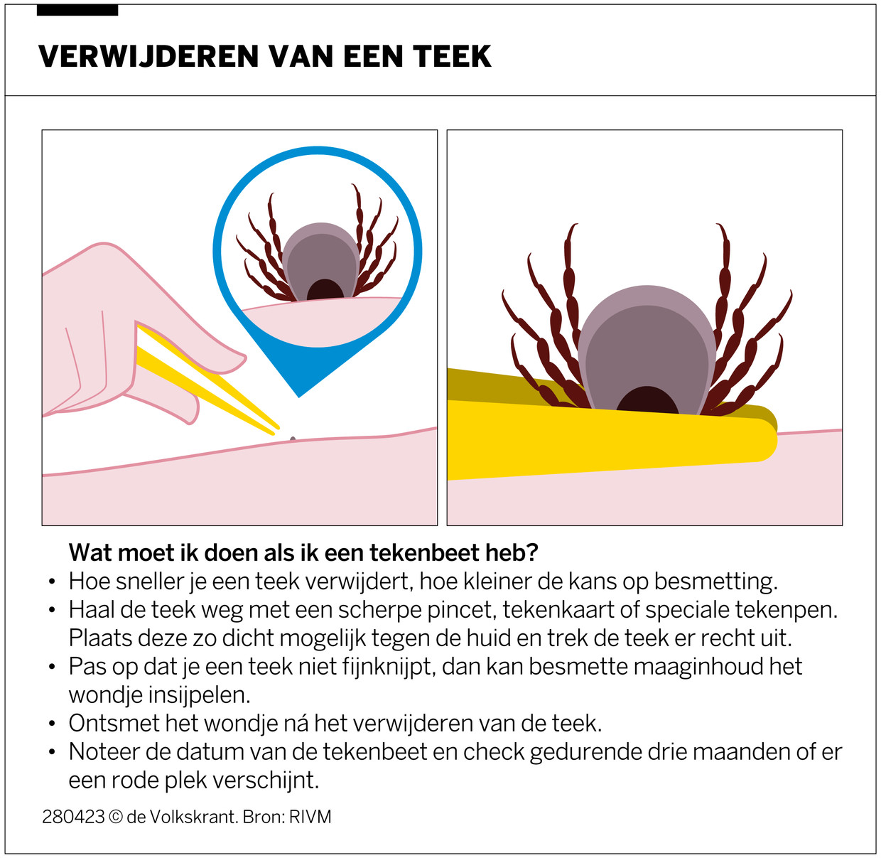 Het tekenseizoen is begonnen: waar is het risico op een beet het ...