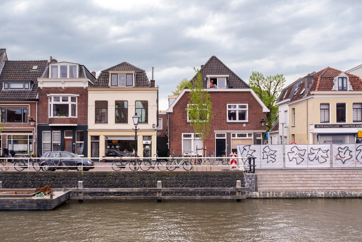 De ingrediënten bij Don Kounosuke zijn goed, de bereiding is onzorgvuldig