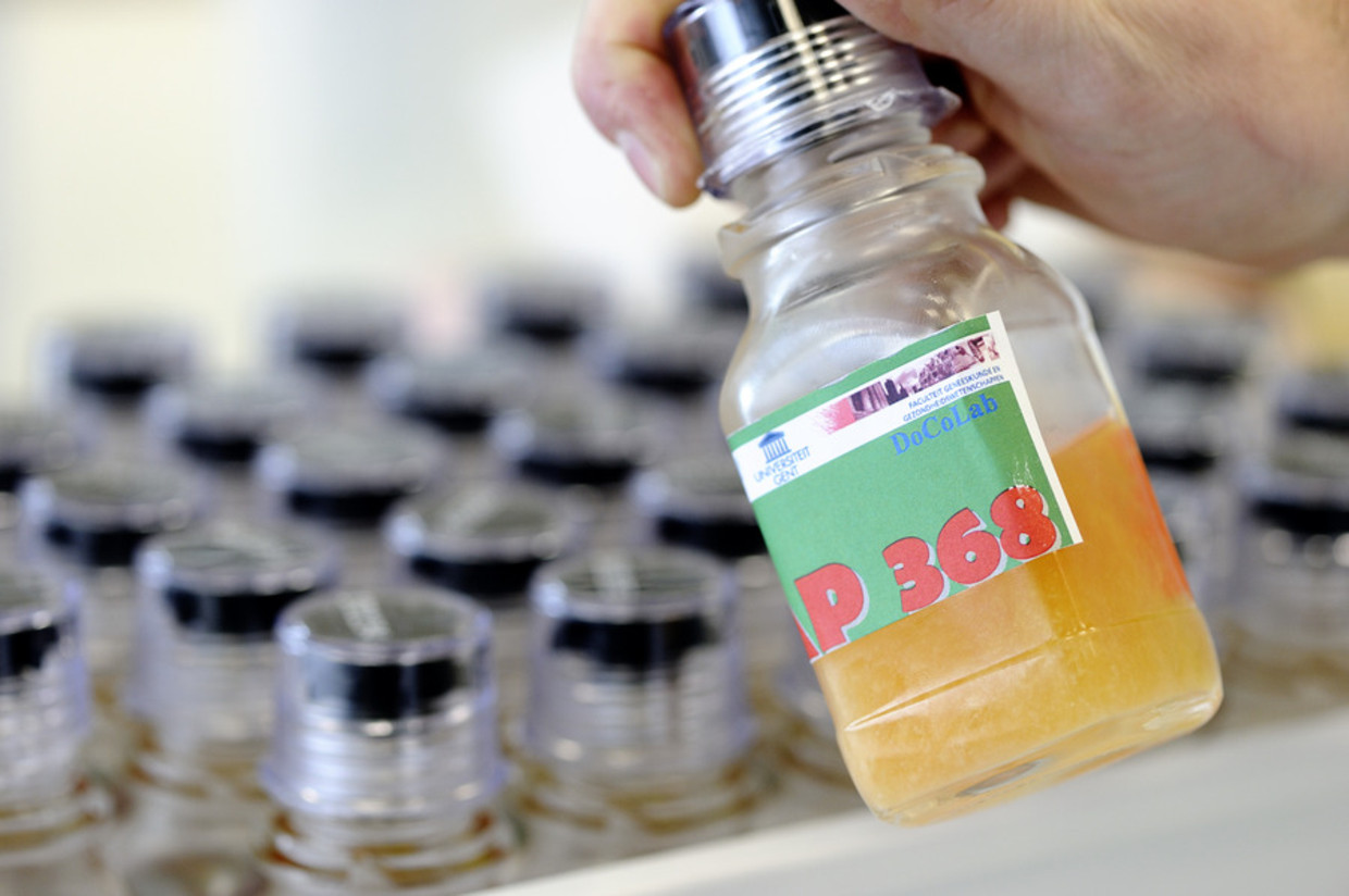 Herman Ram: 'We gaan grote stappen vooruit' | De Volkskrant