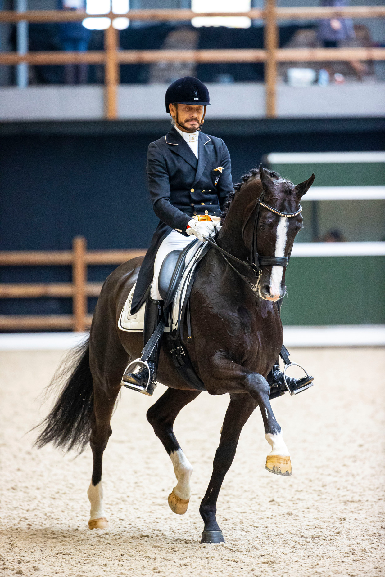 Dankzij de zonen van Totilas heeft Edward Gal wat te kiezen voor de ...