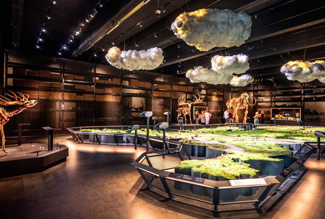 Ondergedompeld in de natuur: het nieuwe Naturalis vermaakt, verbluft en ...