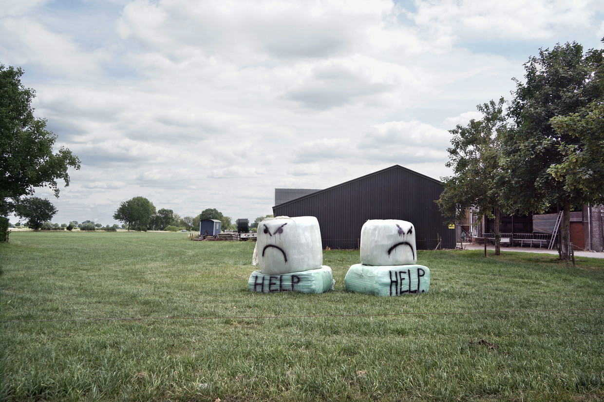 Is Stefaan Decraene, een klassieke bankier pur sang, de man die de ...