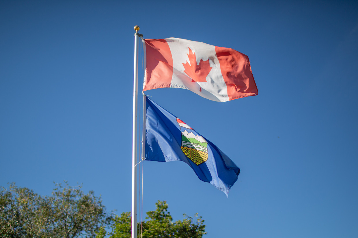 Deze boeren zochten hun heil in Canada: ‘Hier zijn ook regels, maar ze ...