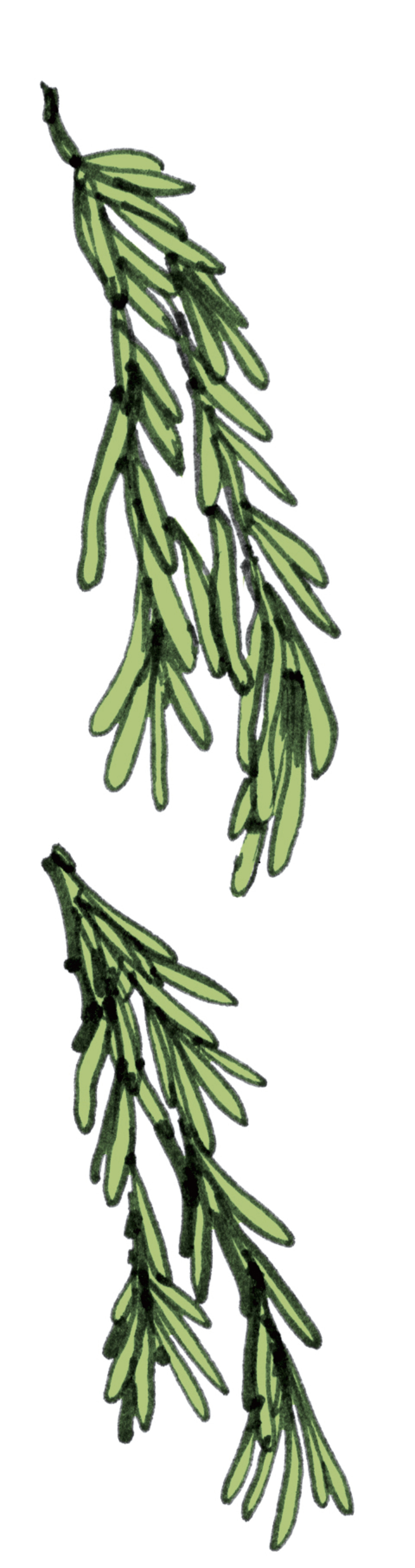 De smalle straatjes, het statige stadhuis, het schelpvormige plein ...