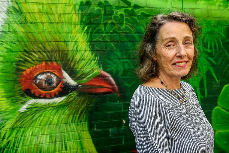 Ina Brouwer hoopt na dertig jaar op terugkeer in de Kamer: ‘Het is geen ...