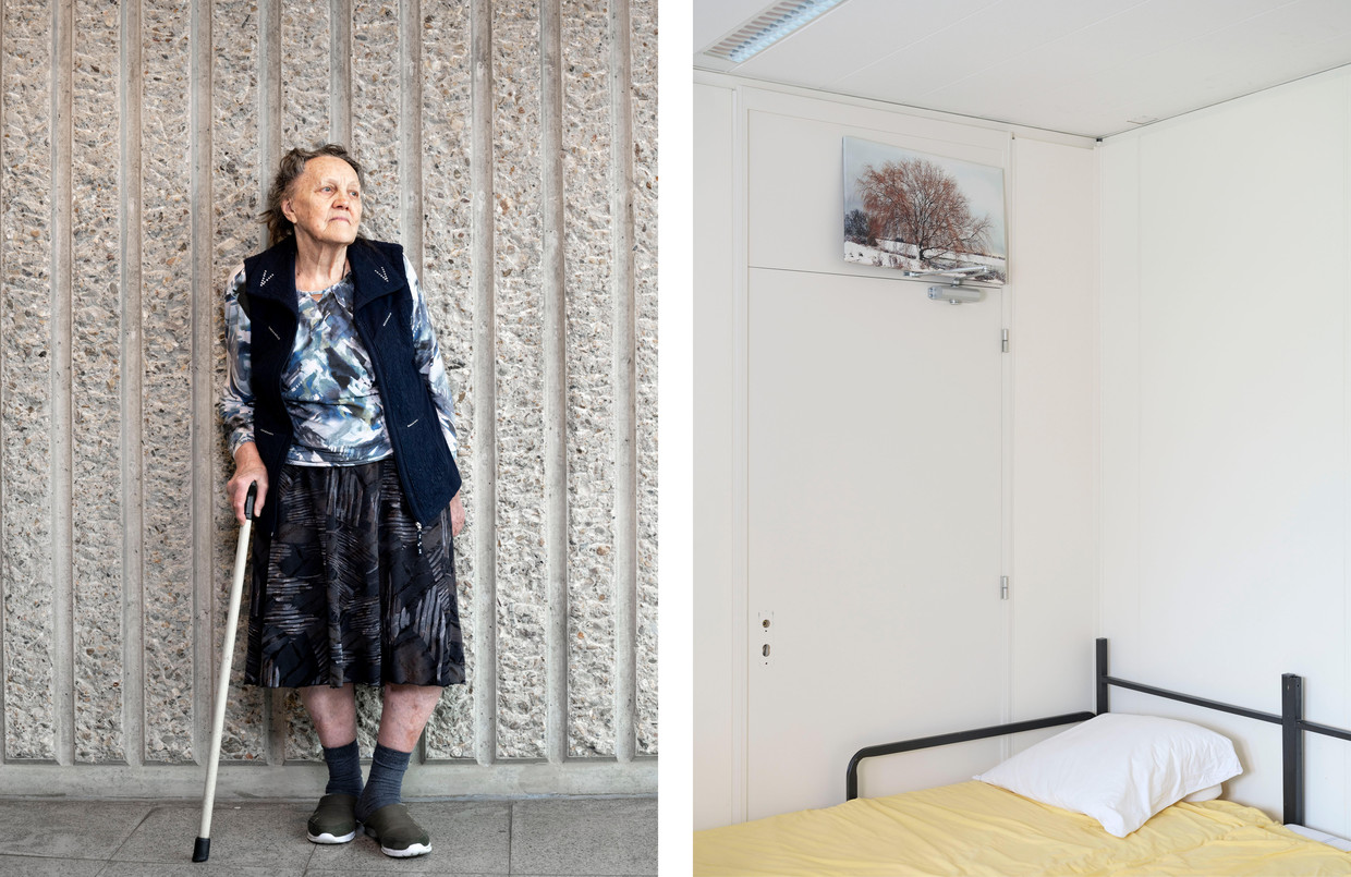 Tussen de spaanplaten wandjes van een oud kantoorgebouw hebben deze ...