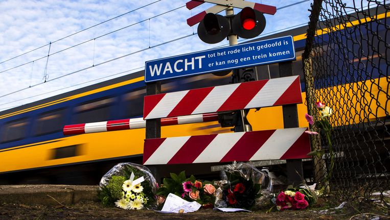 Staphorster meisje won prijs met gedicht over pesten | De Volkskrant