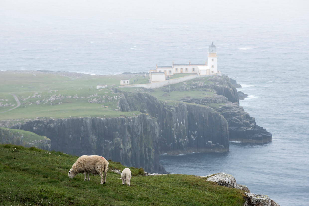Wie redt het eenzaamste schaap van Groot-Brittannië? | De Volkskrant