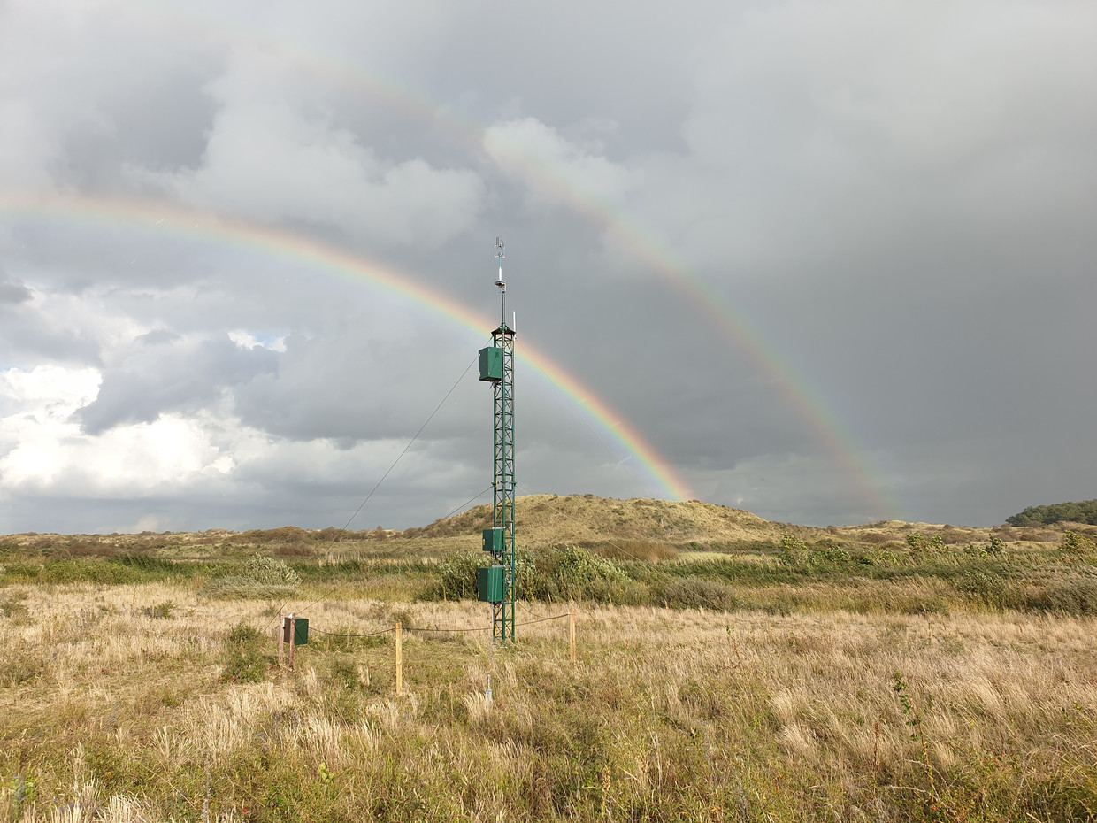 Het stikstofmodel van het RIVM bevindt zich in het centrum van een ...