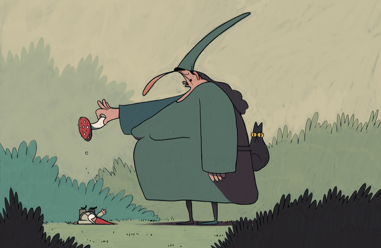 Eetbare paddestoelen plukken? Zo begin je (veilig) | De Volkskrant