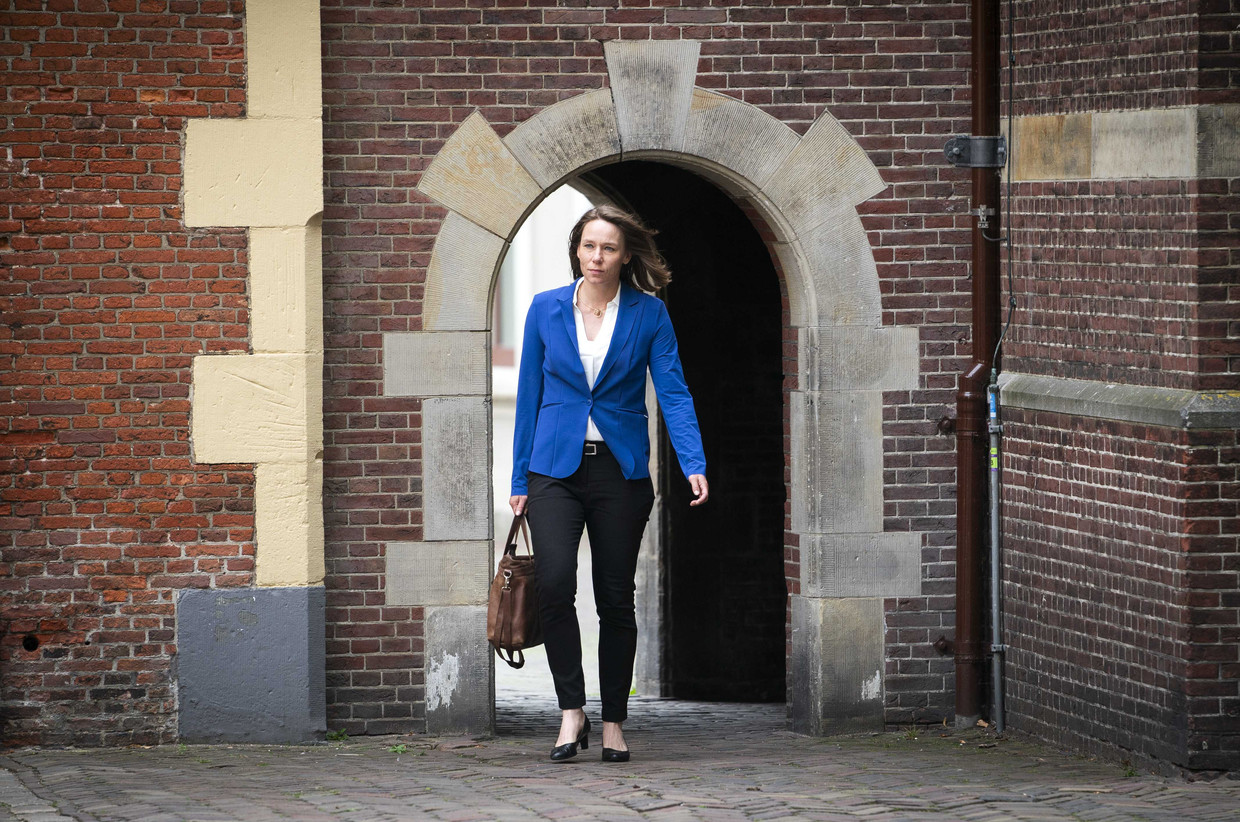 Wisseling van de wacht op Buitenlandse Zaken: Bruins Slot schuift door