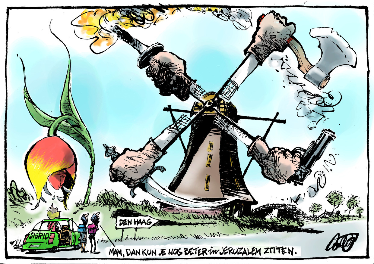 Collignon | De Volkskrant