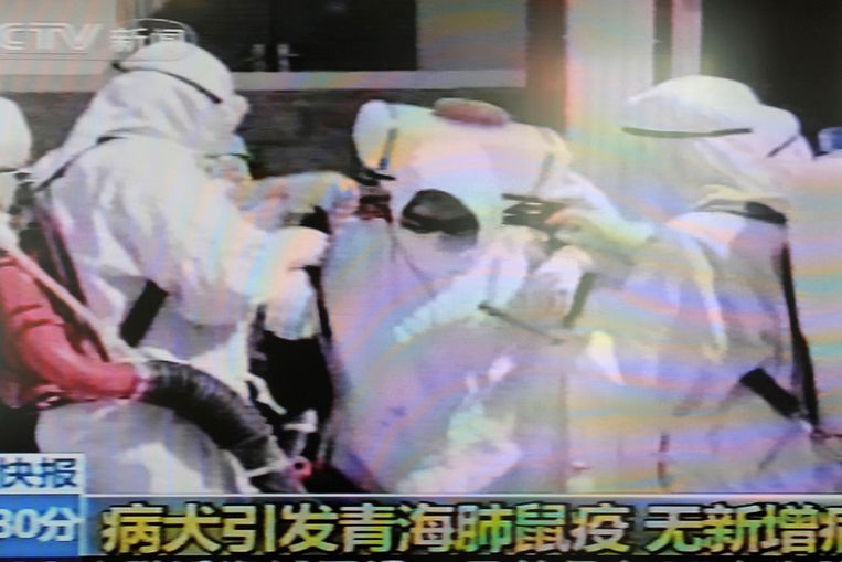 Wat is de longpest nu weer? | De Volkskrant