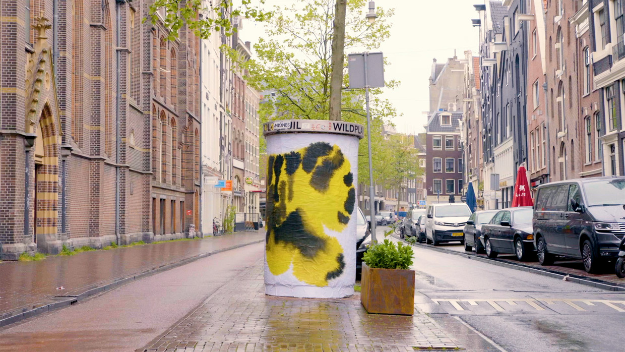 De tijgers en zebra’s van illustrator Rop van Mierlo zijn wild én ...