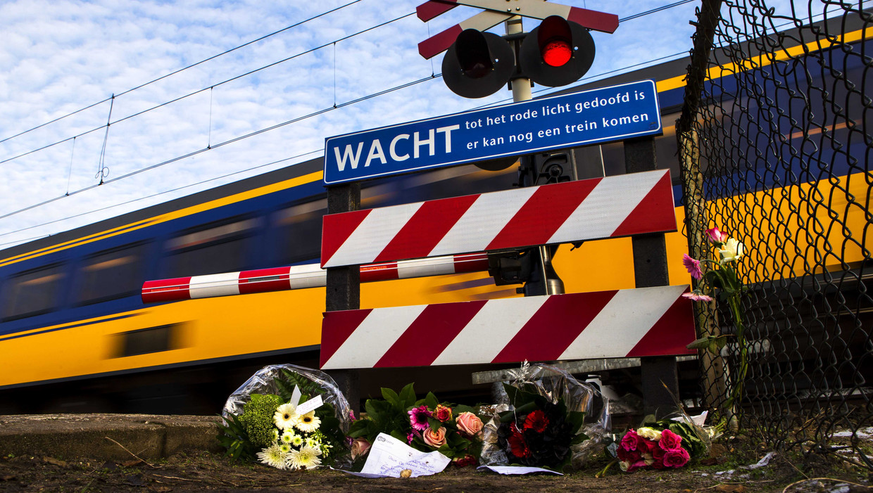 Staphorster meisje won prijs met gedicht over pesten | De Volkskrant