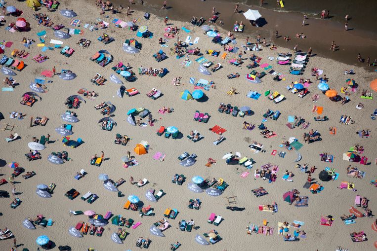 Hoe het lichaam de hitte te lijf gaat | De Volkskrant