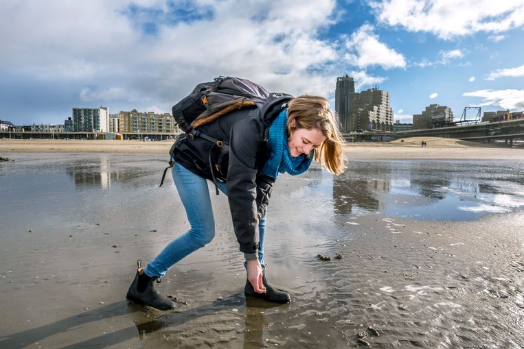 De kust raakt in de knel, door gebouwen en wegen: ‘We staan hier met de ...