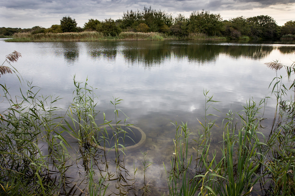 Drinkwatertekort dreigt in 2030: ‘Er moet veel meer gebeuren dan alleen ...