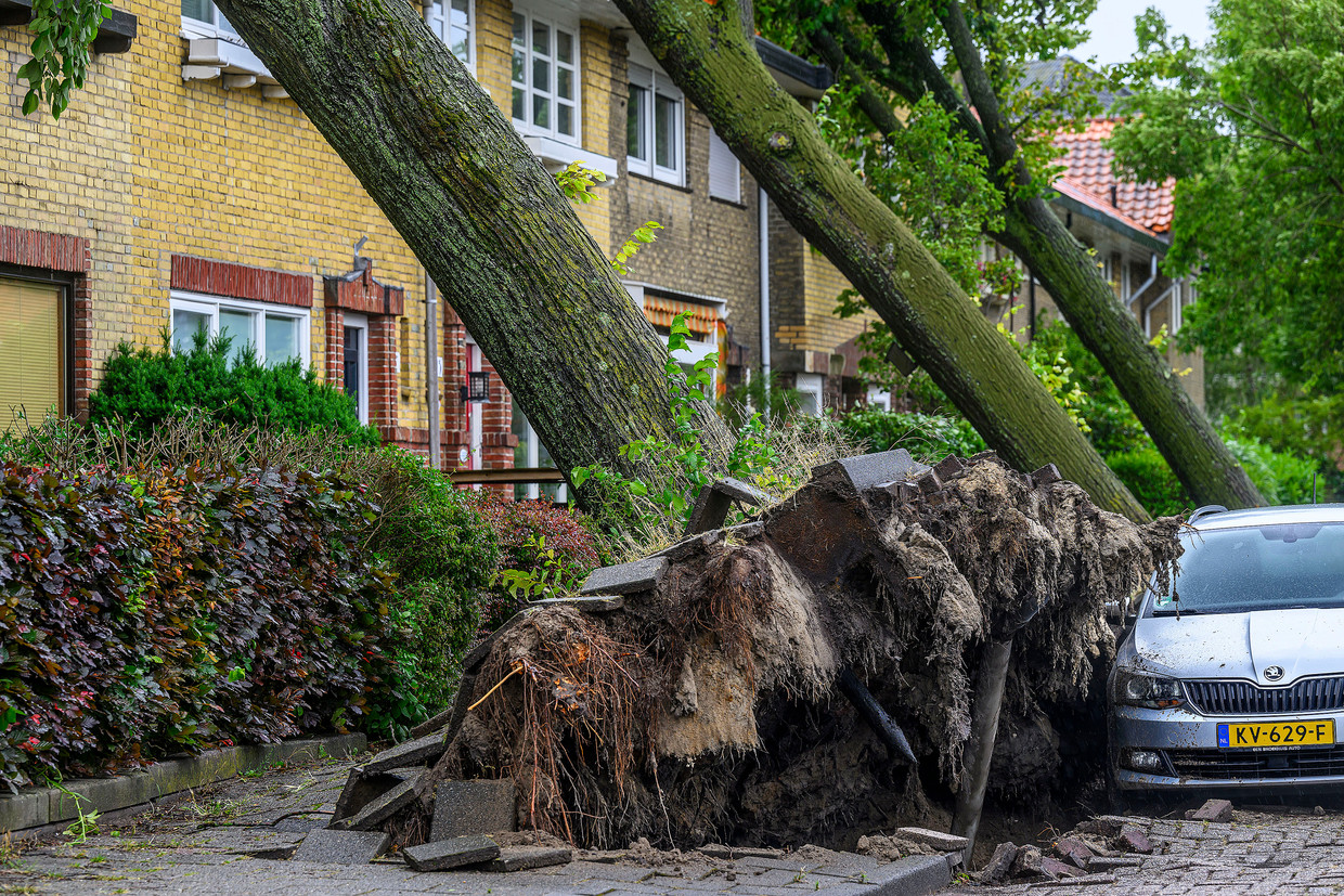 De zomerstorm die een einde maakte aan het leven van Christel (51)
