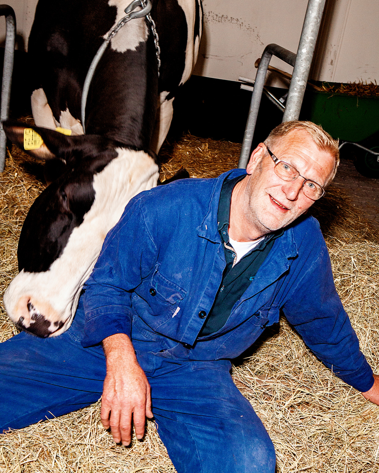 Koeien stelen de show in het theaterspektakel Hanna van Hendrik