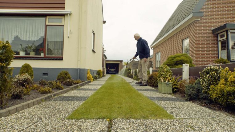 Filmmaker Rashel van der Schaaf toont onze tuin door de ogen van een egel