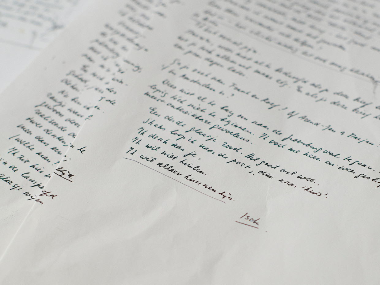 Ischa Meijer was een man van tien verdiepingen, zegt zijn biograaf ...