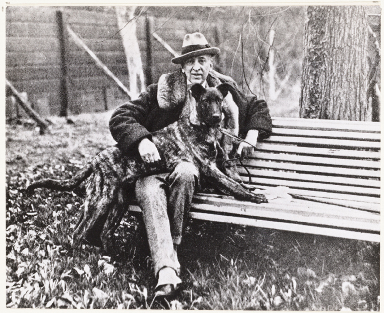 Opinie: Genderkritisch lezen biedt jongeren een actuele toegang tot ...