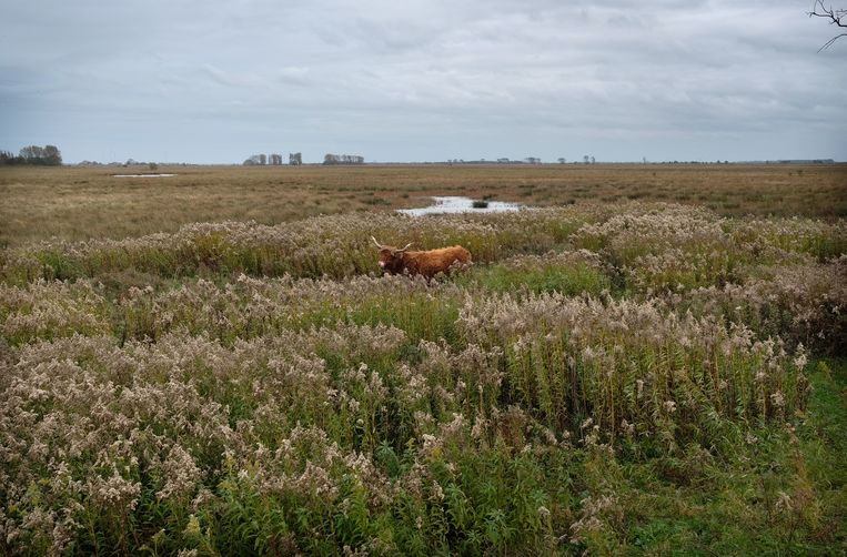 Van wie is de grond in Nederland? | De Volkskrant